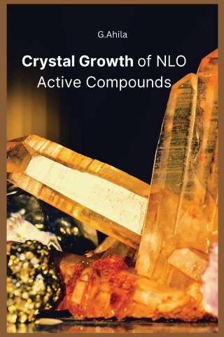Crystal Growth of NLO Active Compounds - Literatura obcojęzyczna - Ceny ...