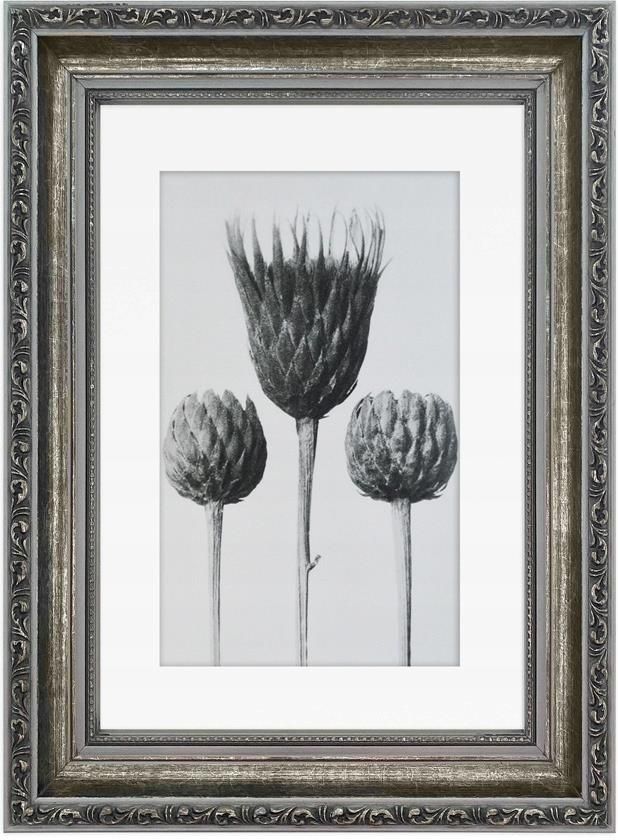 Ramka tradycyjna Manufaktura Ram 40X50 Pp Bronisław Srebrny - Ceny i ...