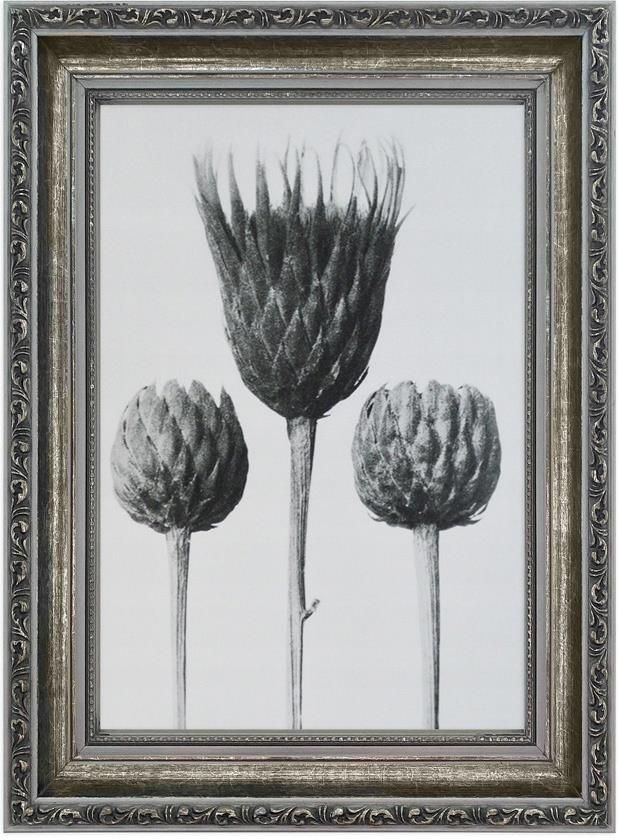 Ramka tradycyjna Manufaktura Ram 40X50 Bronisław Srebrny - Ceny i ...