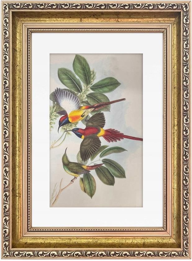 Ramka tradycyjna Manufaktura Ram 40X50 Pp 30X40 Bronisław Złoty - Ceny ...