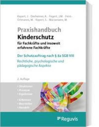 Praxishandbuch Kinderschutz für Fachkräfte und insoweit erfahrene Fachkräfte - Literatura ...