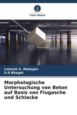 Morphologische Untersuchung von Beton auf Basis von Flugasche und Schlacke - Literatura ...