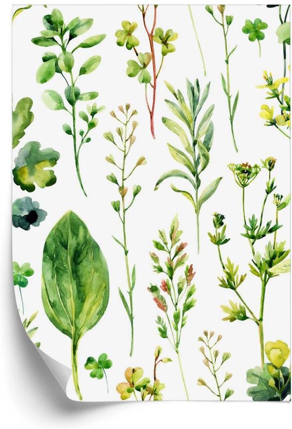 Fototapety.Pl Chwasty Polne I Zioła 250x250 Fizelina - Opinie i ceny na ...