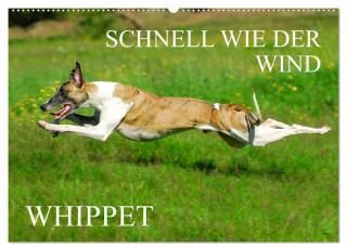 Schnell wie der Wind - Whippet (Wandkalender 2024 DIN A2 quer) - Ceny i ...