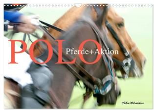 Polo Pferde + Aktion 2024 (Wandkalender 2024 DIN A3 quer) - Ceny i ...