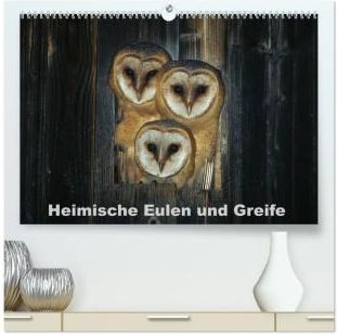 Heimische Eulen und Greife (hochwertiger Premium Wandkalender 2024 DIN ...