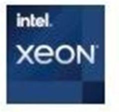 Procesor Intel Xeon E-2378G / 2.8 Ghz Processor - Box Procesor 8 Rdzeni ...