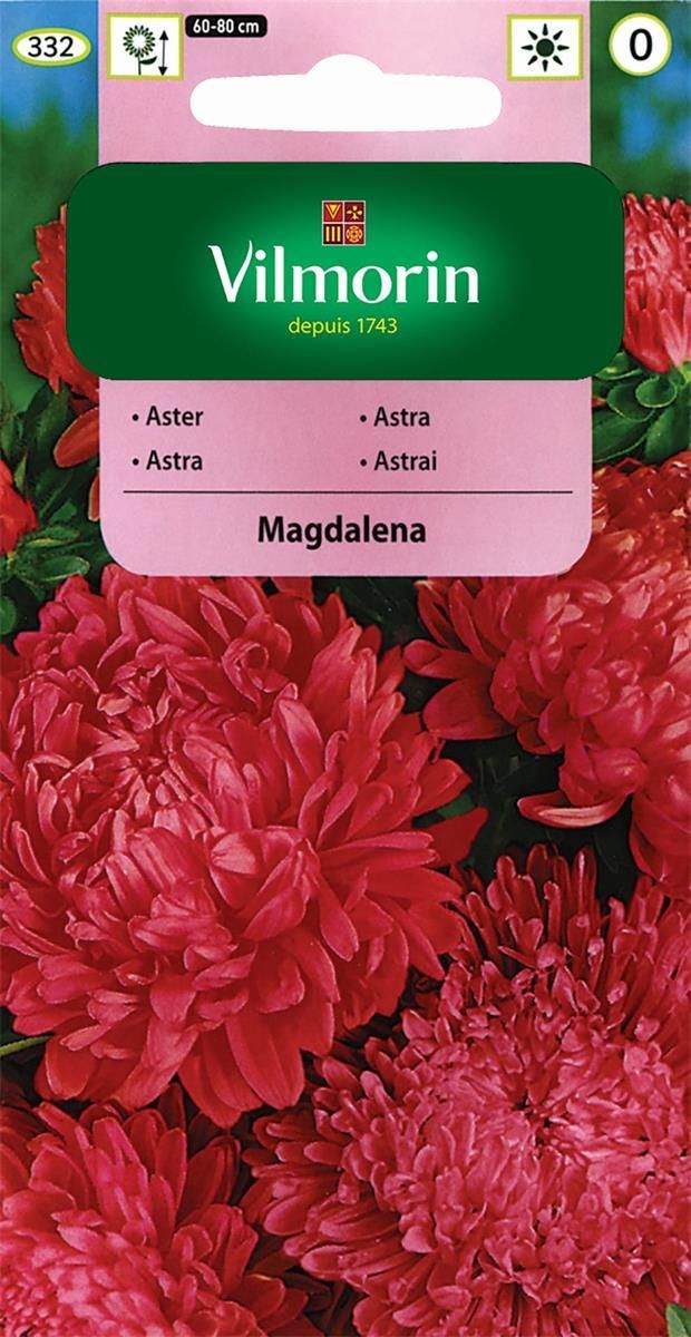 Vilmorin Nasiona Astra Peoniowego Magdalena 0,5g - Ceny i opinie - Ceneo.pl