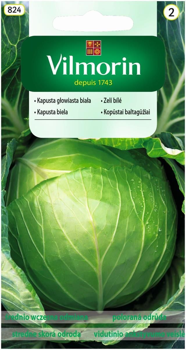 Vilmorin Nasiona Kapusty Głowiastej Białej Sława 2g - Ceny i opinie - Ceneo.pl