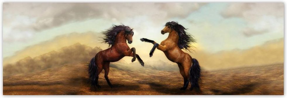 ZeSmakiem Dwa Konie - Opinie i ceny na Ceneo.pl