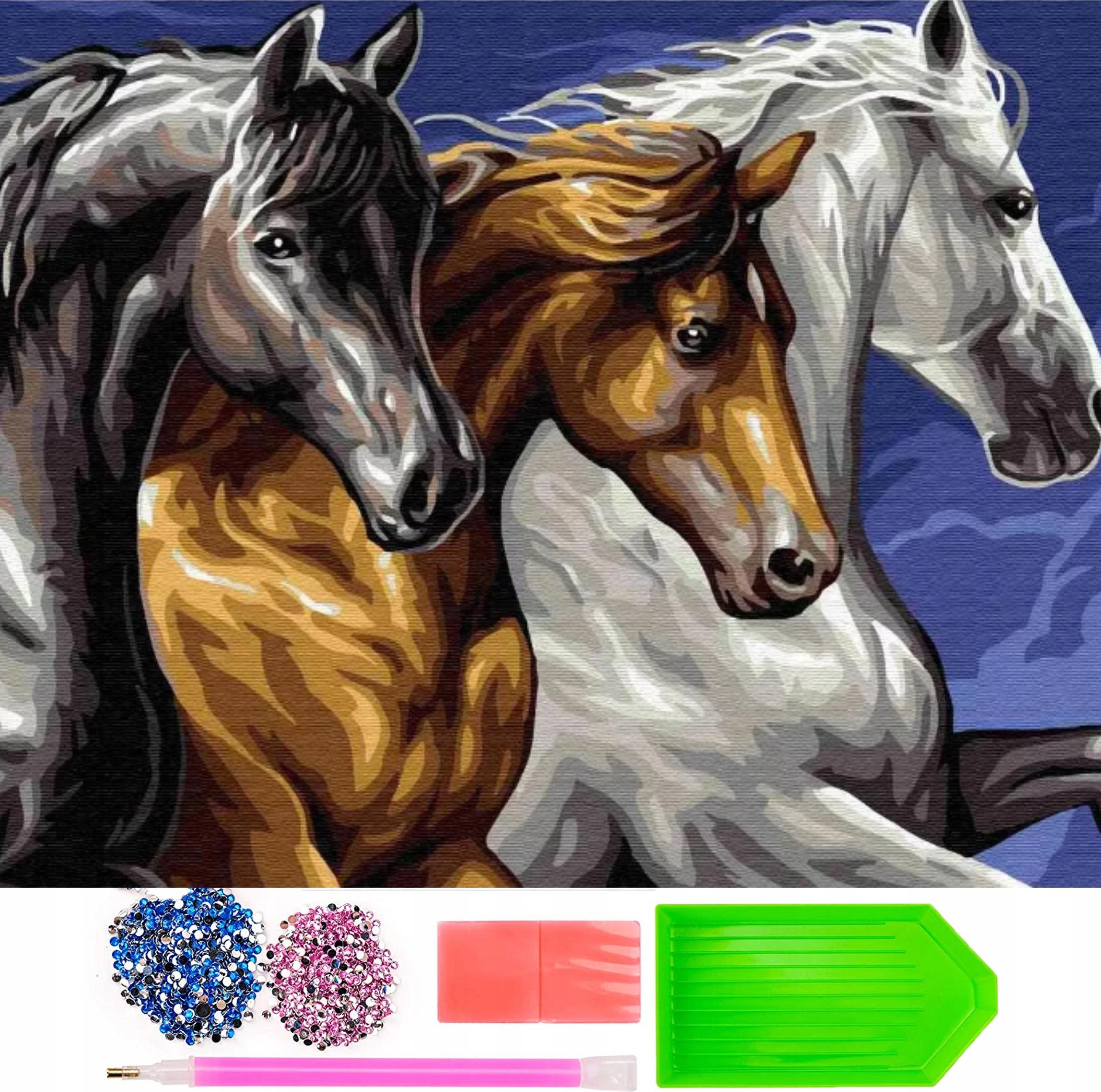 Haft Diamentowy Konie Koń W Galopie Mozaika 5D 1579693505 - Ceny i ...