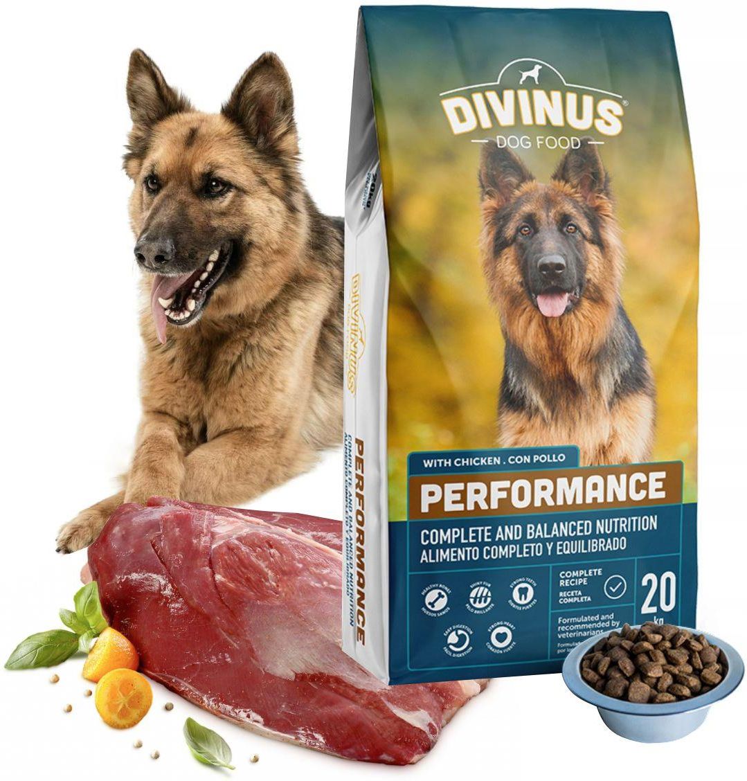 Karma Divinus Sucha Karma Performance Z Wołowiną 20kg - Ceny i opinie ...