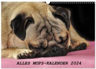 Alles Mops-Kalender 2024 (Wandkalender 2024 DIN A3 quer), CALVENDO Monatskalender - Ceny i ...
