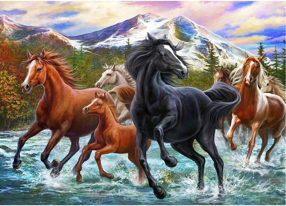 Malowanie po numerach Stado koni w górskiej rzece - Ceny i opinie ...