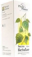 Lek homeopatyczny PHYTOPHARM Succus Betulae Płyn doustny z brzozy 100 g ...