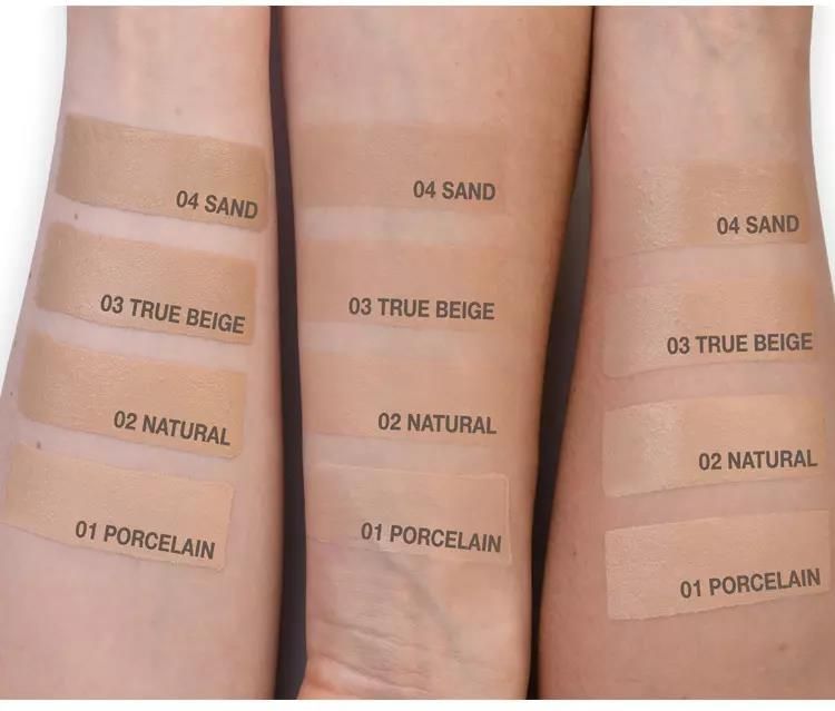 Pierre Rene Art Lumi Podkład Do Twarzy 01 Porcelain 35Ml - Opinie i ...