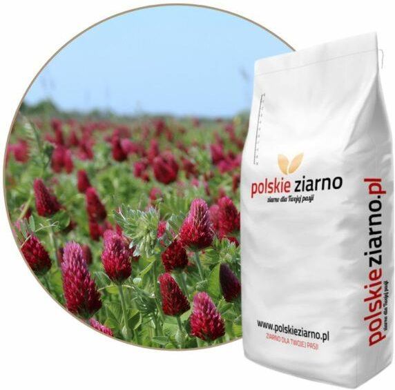 Koniczyna inkarnatka Kardinal C1 - 50g - Ceny i opinie - Ceneo.pl