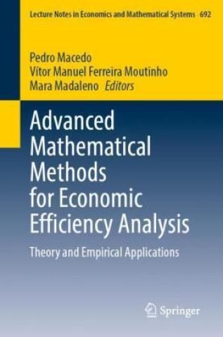 Advanced Mathematical Methods for Economic Efficiency Analysis ...