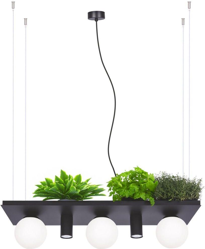 Zuma Line - Lampa Wisząca Plant Shelf 5555 3Xe14 + 2Xgu10 Czarny 003749 ...