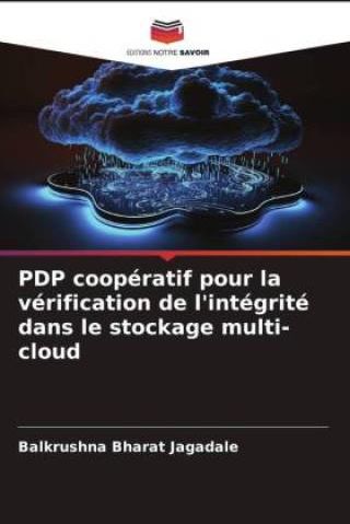 PDP coopératif pour la vérification de l'intégrité dans le stockage multi-cloud - Literatura ...