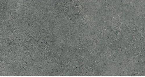 Płytki Paradyż Ceramika Authority Graphite Mat 59,5x119,5 - Opinie i ...