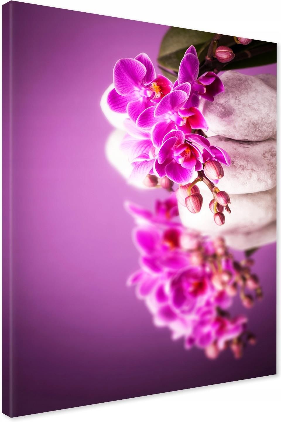 Printedwall Obraz Na Płótnie Spa Orchidea Japonia 50X70 - Opinie i atrakcyjne ceny na Ceneo.pl