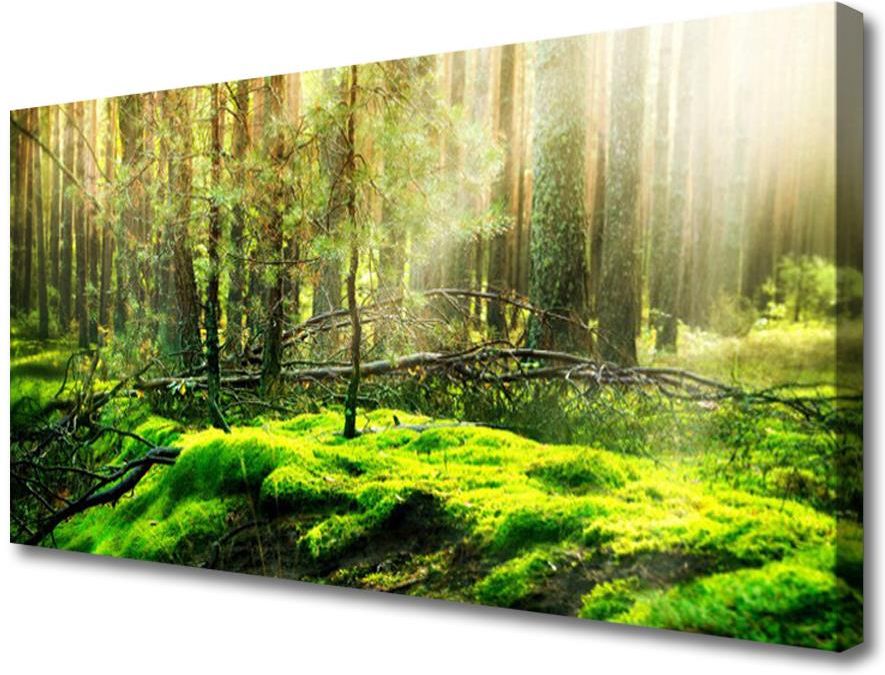 Tulup Foto-Obraz Canvas Na Ścianę Mech Las Natura 120X60 - Opinie i ...