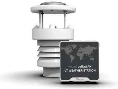 Milesight WTS506 - Opinie i ceny na Ceneo.pl