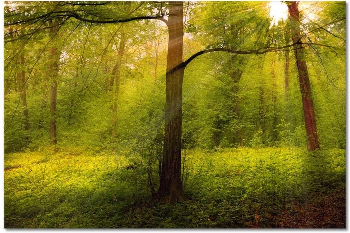 Obrazy 30X20 Magiczny Las Krajobraz - Opinie i atrakcyjne ceny na Ceneo.pl