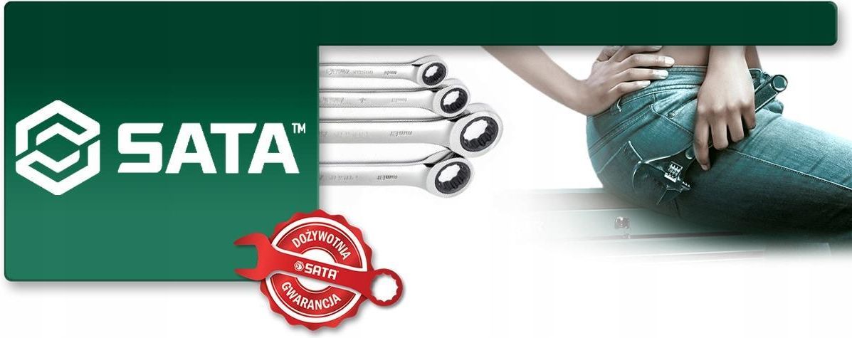 Sata Zestaw 9 Kluczy Trzpieniowych L Imbusy St09101Asj - Opinie i ceny ...