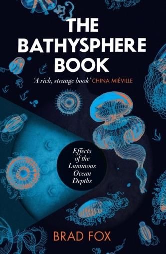The Bathysphere Book Vanderbes, Jennifer - Literatura obcojęzyczna - Ceny i opinie - Ceneo.pl