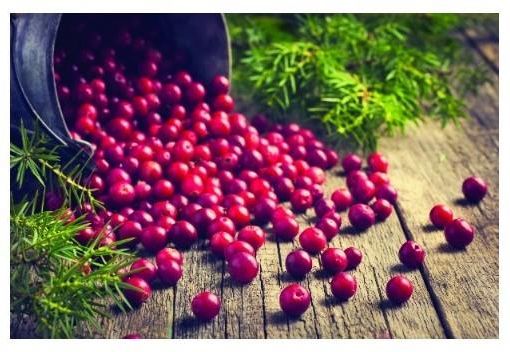 Karma Smart Nature Dog Light Turkey&Cranberry 2kg karma bez zbóż dla ...