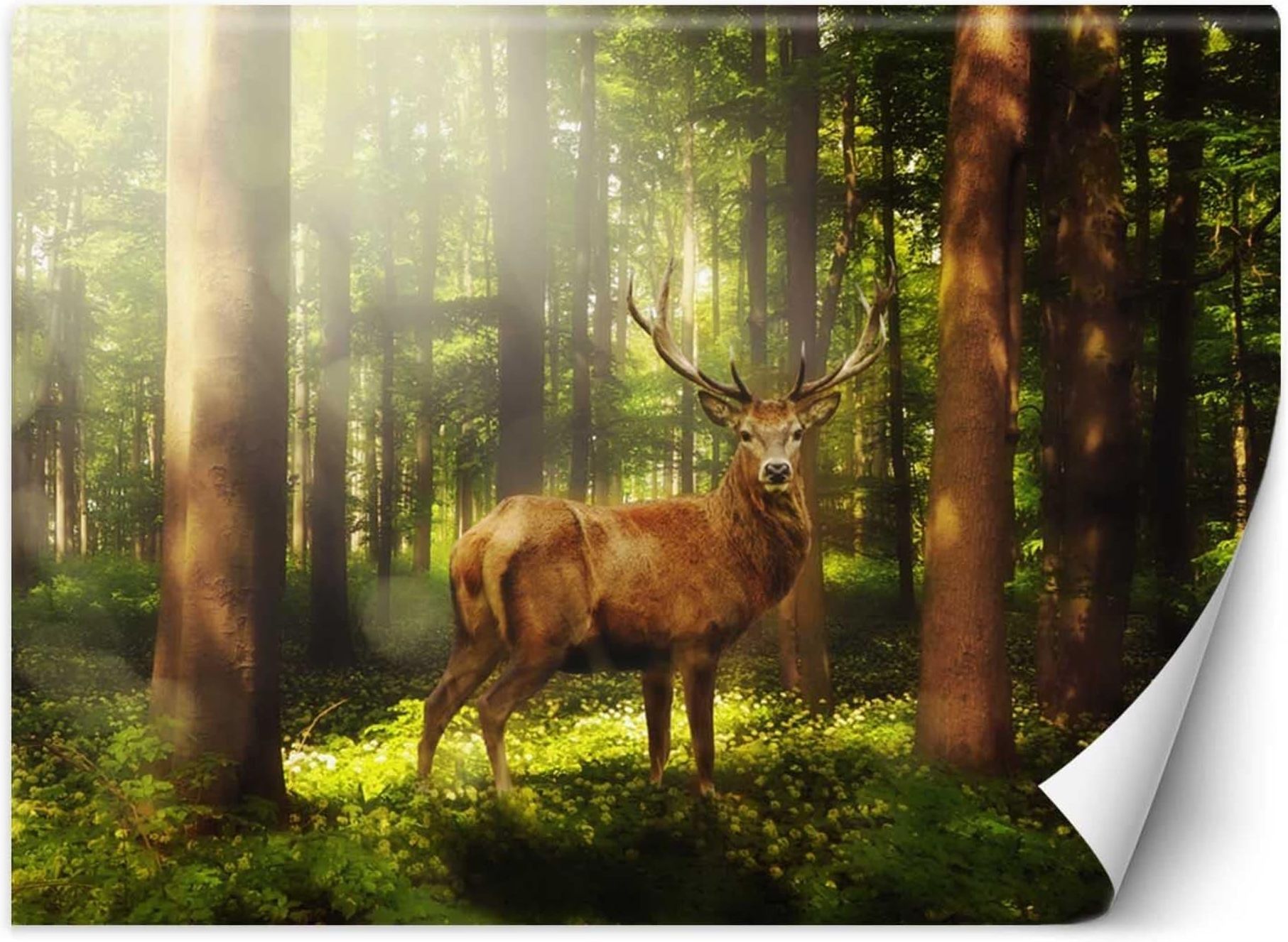 Fototapeta Jeleń W Lesie 200x140 - Opinie i ceny na Ceneo.pl