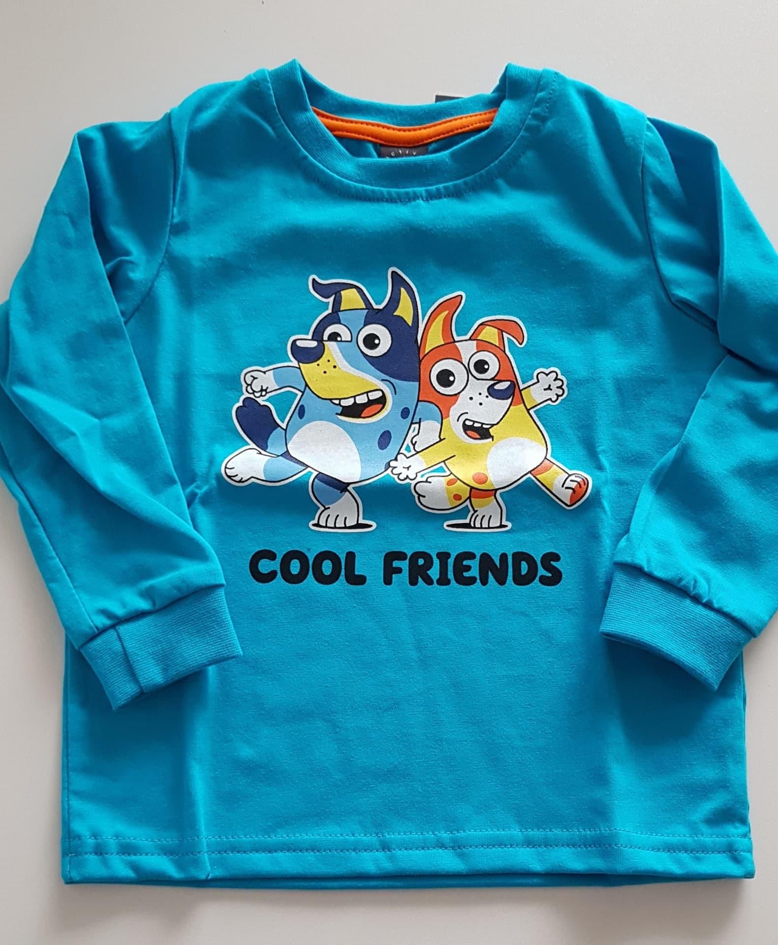 BLUZKA CHŁOPIĘCA COOL FRIENDS DR R.98-116 (kolor mix kolor, rozmiar 110 ...