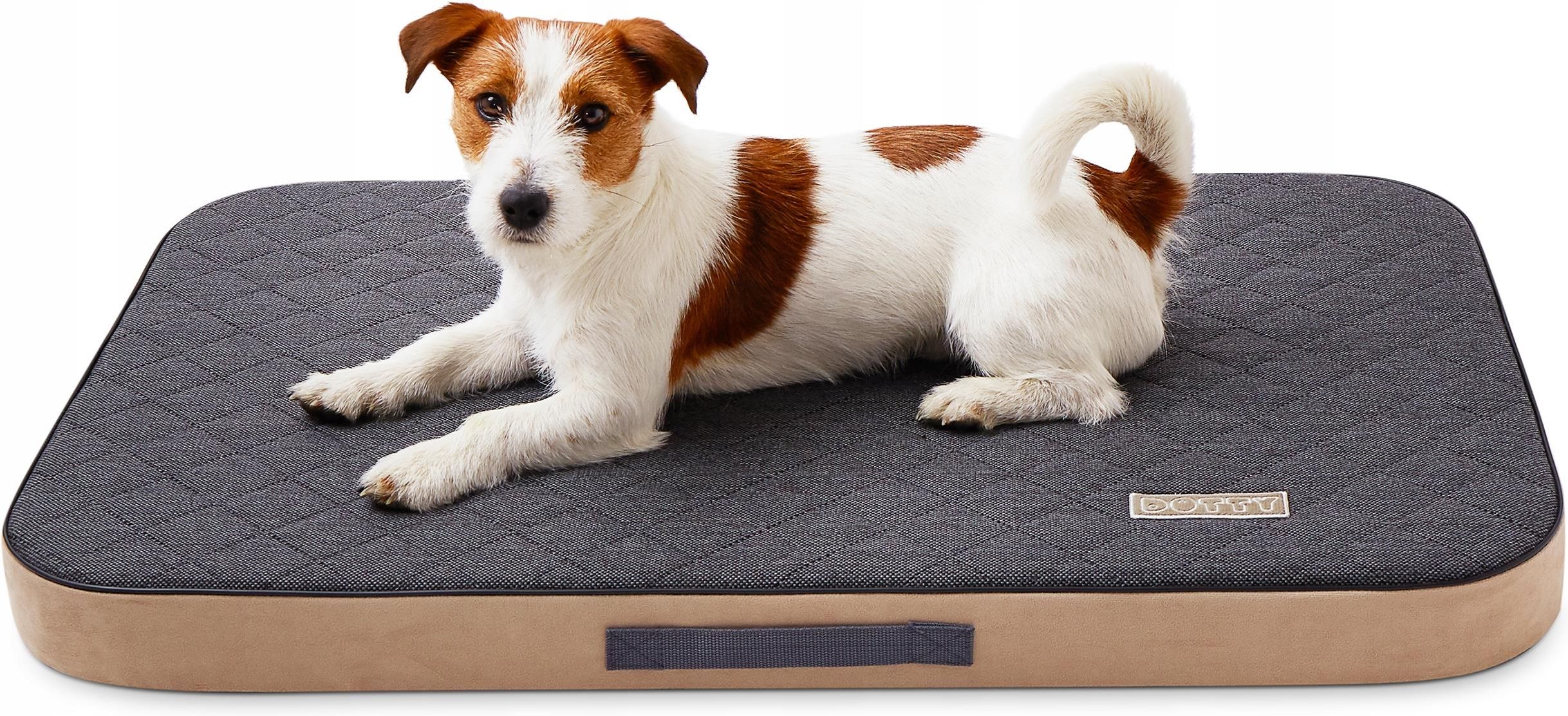 Dotty Materac Ortopedyczny Dla Psa Legowisko L 1584346140 - Ceny i ...