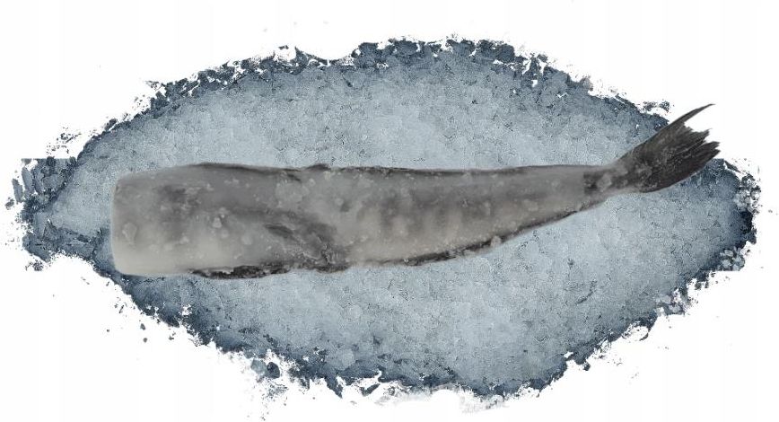 Kergulena Tusza Bez Głowy 2KG Ryby - Ceny i opinie - Ceneo.pl