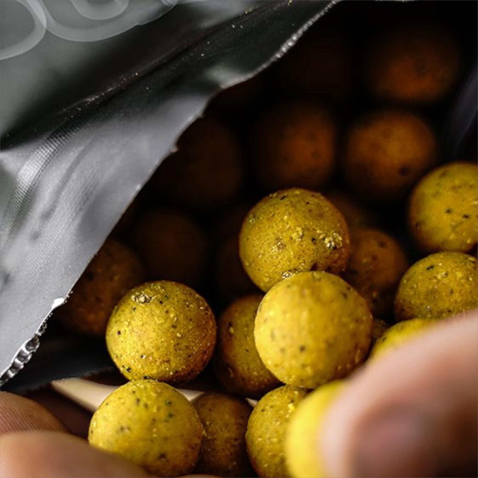 Munch Baits Kulki Zanętowe Citrus Nut 14mm 1kg MBACNB141 - Ceny i ...