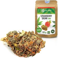 Preparat medycyny naturalnej Dr Joint Susz Konopny Cbd Strawberry Skunk ...