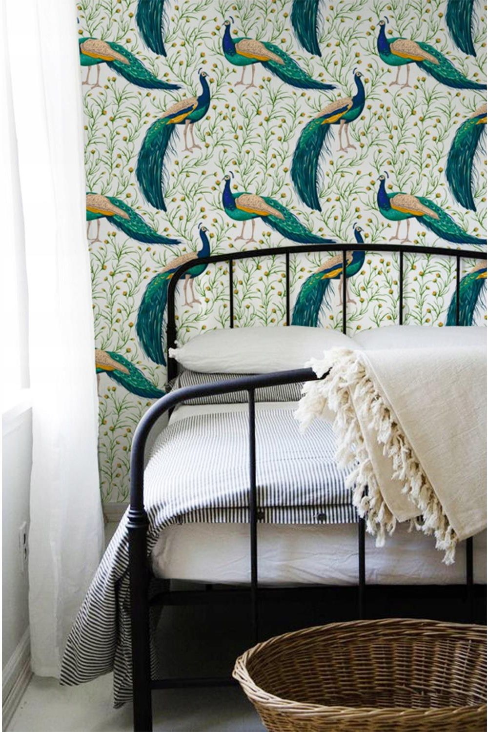 Coloray Majestatyczny Pawi Urok 250x250 - Opinie i ceny na Ceneo.pl