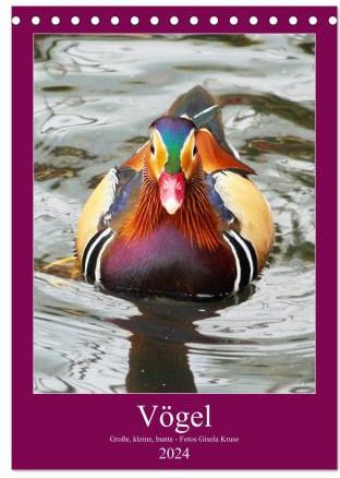 Vögel - Große, kleine, bunte (Tischkalender 2024 DIN A5 hoch), CALVENDO Monatskalender - Ceny i ...