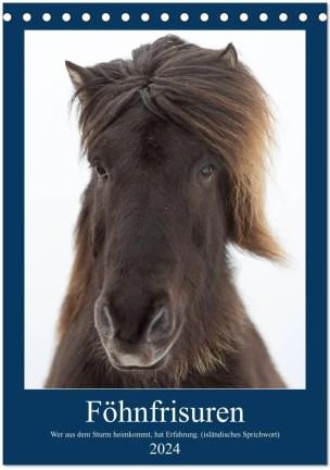 Föhnfrisuren (Tischkalender 2024 DIN A5 hoch), CALVENDO Monatskalender - Ceny i opinie - Ceneo.pl