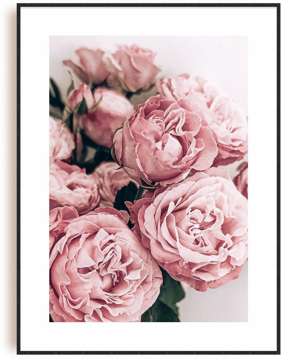 Plakat Bukiet Róże Nowoczesny Obraz Róż Kwiaty A3 - Opinie i atrakcyjne ...