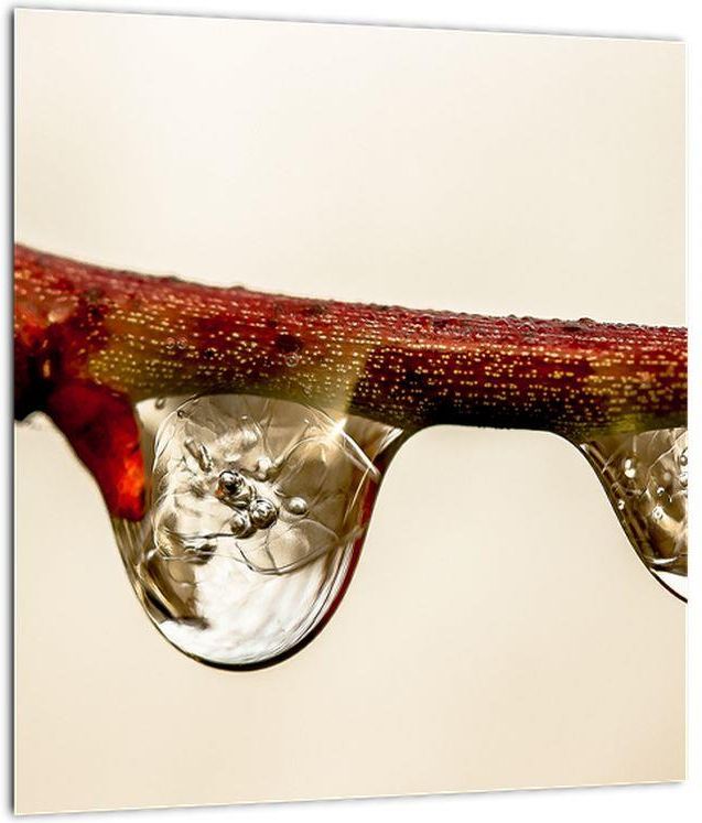 Domali Obraz Na Szkle Krople Na Gałęzi Jednoczęściowy 30X30 Cm Na Szkle ...