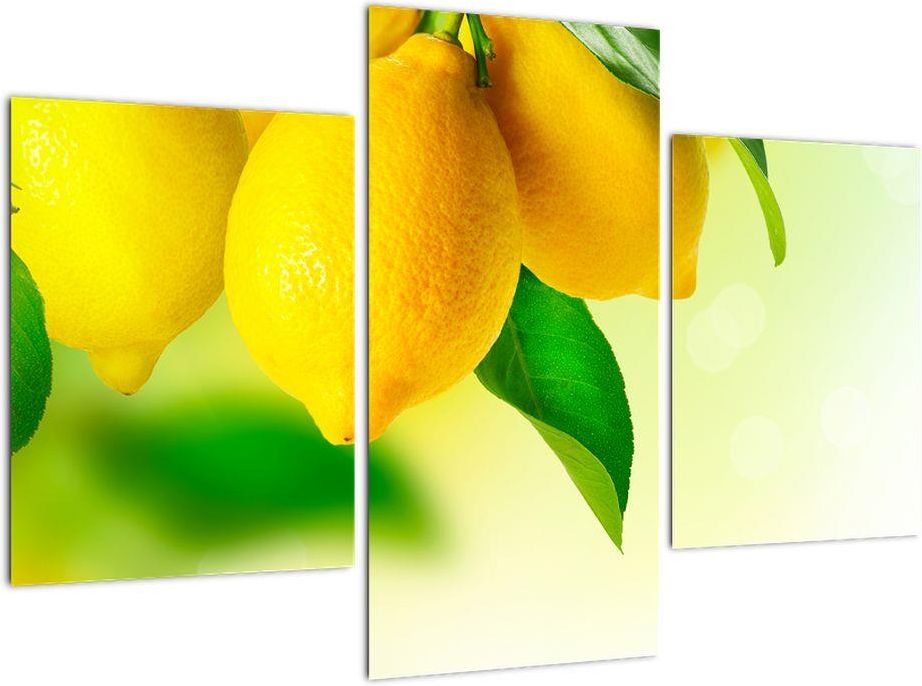 Domali Obraz Cytryn Tryptyk 90X60 Cm 69239 - Opinie i atrakcyjne ceny ...