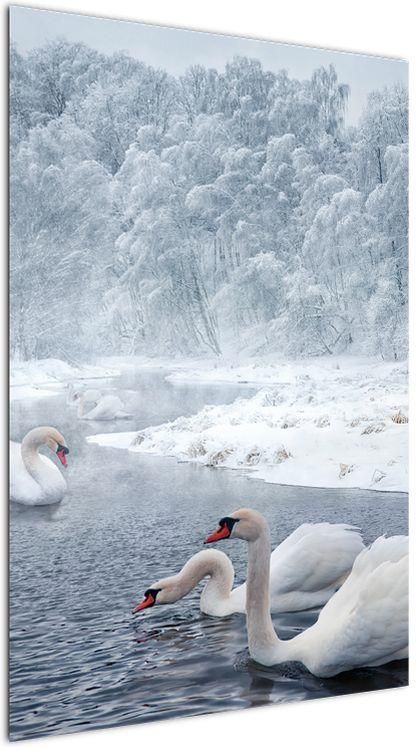 Domali Obraz Łabędzi Jednoczęściowy 60X90 Cm 70717 - Opinie i ...