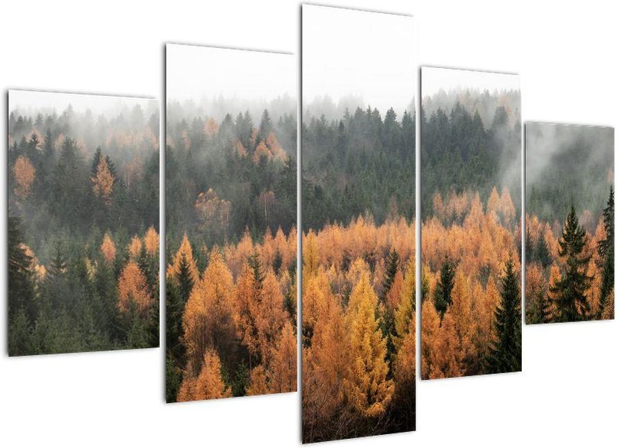 Domali Obraz Jesienny las, pięcioczęściowy 150x105 cm (90446) - Opinie ...