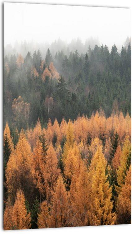 Domali Obraz Jesienny las, jednoczęściowy 20x30 cm (90452) - Opinie i ...