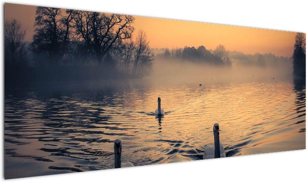 Domali Obraz łabędzi na wodzie we mgle, jednoczęściowy 145x58 cm (41334 ...