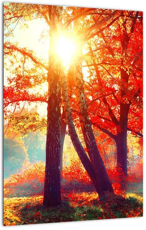 Domali Obraz- Jesienny krajobraz, jednoczęściowy 30x40 cm (76665 ...