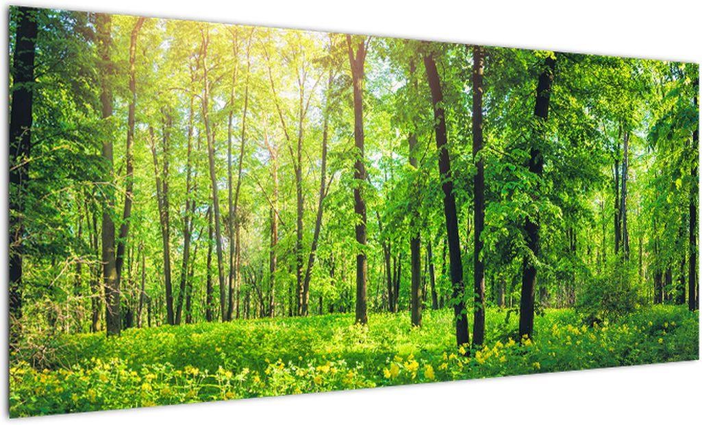 Domali Obraz Wiosenny las liściasty, jednoczęściowy 100x40 cm (64932 ...